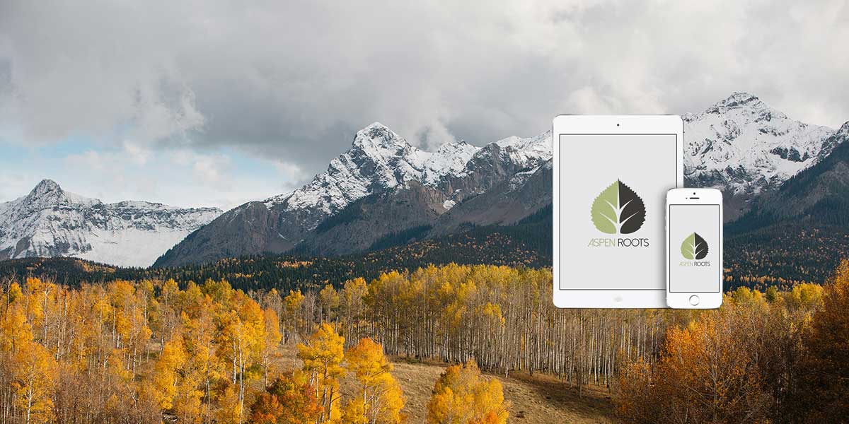 Introducing Aspen Roots Child Theme for Divi and Extra | WP Zone