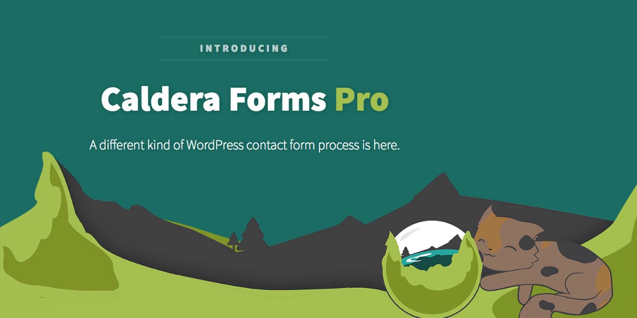 Introducing Caldera Forms Pro plugin from Caldera Labs