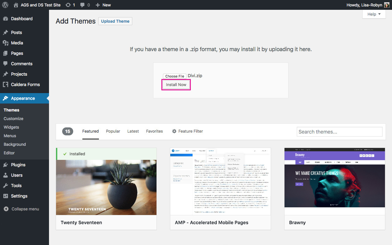 How To Setup And Install Divi On A WordPress Website
