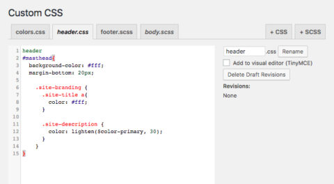 Custom CSS and JavaScript Developer Edition | WP Zone