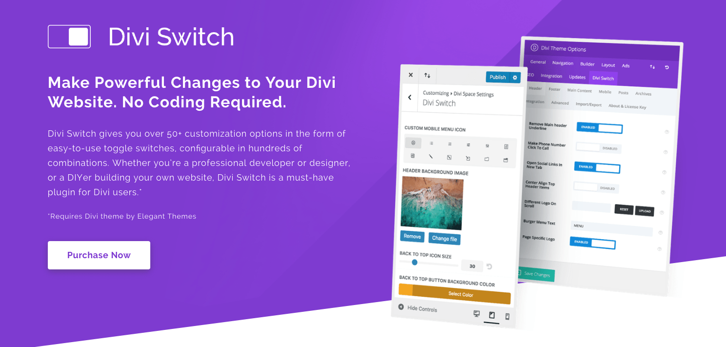 Divi Switch Plugin | Extend Divi, Customize Logo, Footer, Styling and More