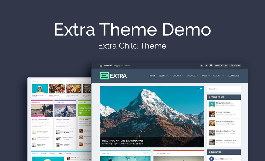 Extra Theme Demo WP Zone